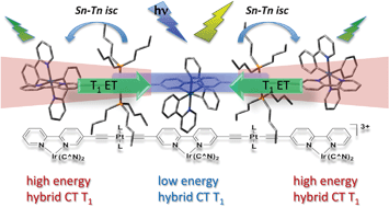 Unexpected evolution of optical properties in Ir–Pt complexes upon ...