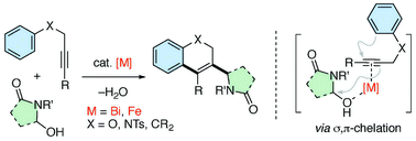 Borderline metal-catalyzed carboarylation of alkynylarenes using N,O ...