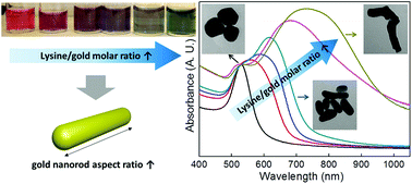 One-step continuous synthesis of biocompatible gold nanorods for ...