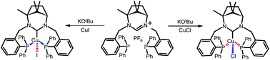 Monovalent chiral-at-copper complexes: halide-controlled ...