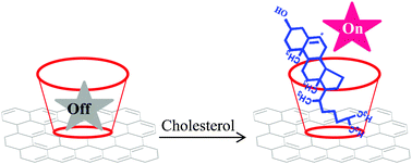 Fluorescent detection of cholesterol using β-cyclodextrin ...