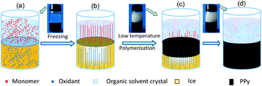 Highly conductive free standing polypyrrole films prepared by freezing ...