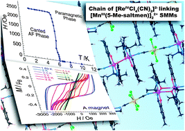 A canted antiferromagnetic ordered phase of cyanido-bridged MnIII2ReIV single-chain magnets ...