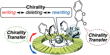 A chirality rewriting cycle mediated by a dynamic cyclen–calcium ...