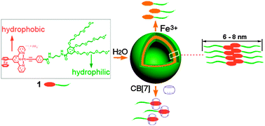 Reversible multistimuli-responsive vesicles formed by an amphiphilic ...