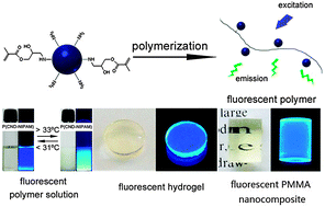 A facile and versatile approach to biocompatible “fluorescent polymers ...