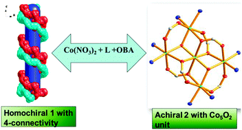 Structure–property relationship of homochiral and achiral ...