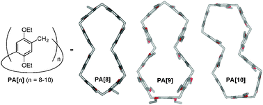 Pillar[n]arenes (n = 8–10) with two cavities: synthesis, structures and ...