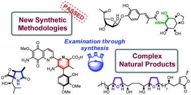 Natural product synthesis as a challenging test of newly developed ...