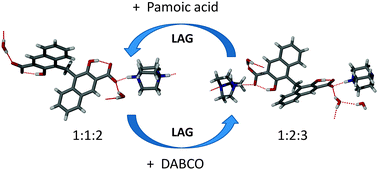 Interconversion between different stoichiometric forms of a three ...