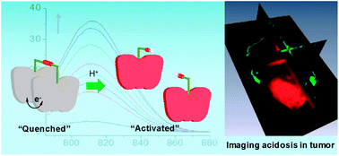 Imaging acidosis in tumors using a pH-activated near-infrared ...