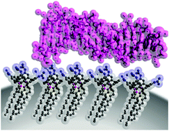 DNA surface coating of calixarene-based nanoparticles: a sequence ...