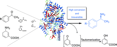 An efficient single-enzymatic cascade for asymmetric synthesis of ...