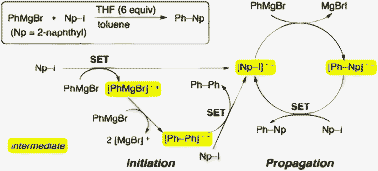 Single electron transfer-induced Grignard cross-coupling involving ion ...