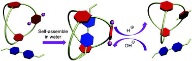 Synthesis of a water-soluble bis(m-phenylene)-32-crown-10-based cryptand and its pH-responsive ...