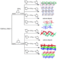 Construction of Cd(ii) coordination polymers based on R-isophthalate (R ...