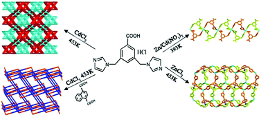 A series of five divalent zinc and cadmium coordination polymers based on a new bifunctional ...
