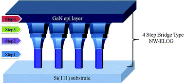 Growth behavior of GaN epilayers on Si(111) grown by GaN nanowires ...