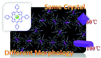5,10,15,20-tetra(4-pyridyl)porphyrinato zinc coordination polymeric ...