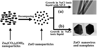 Morphology-controlled synthesis and growth mechanism of ZnO nanostructures via the NaCl ...