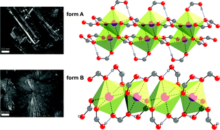 Polymorphism in co-crystals: a metastable form of the ionic co-crystal ...