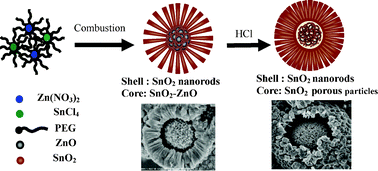 Catalytic outgrowth of SnO2 nanorods from ZnO–SnO2 nanoparticles ...