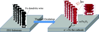 Morphology evolution of dendritic Fe wire array by electrodeposition ...