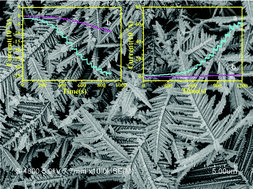 Controllable synthesis of silver nanodendrites on copper rod and its ...