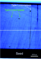 Formation mechanism of Type 2 micropipe defects in 4H–SiC crystals - CrystEngComm (RSC Publishing)