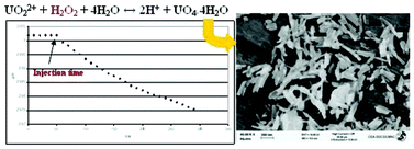 Thermodynamic and crystal growth kinetic study of uranium peroxide ...