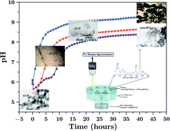 Evolution of calcium phosphate precipitation in hanging drop vapor ...