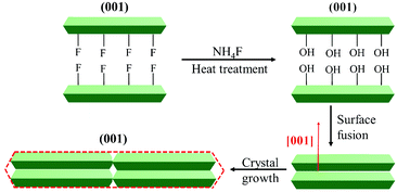 Crystal facet growth behavior and thermal stability of {001} faceted ...