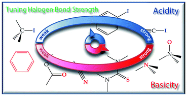 Halogen-bond interactions: a crystallographic basicity scale towards ...
