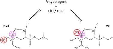 First-principles molecular dynamics simulations of condensed-phase V ...