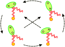 The effect of parity conservation on the spin–orbit conserving and spin ...