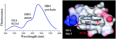 Human Serum Albumin Significance And Its Deficiency