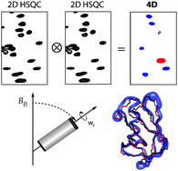 4D solid-state NMR for protein structure determination - Physical ...