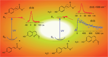 Nonradiative decay dynamics of methyl-4-hydroxycinnamate and its ...