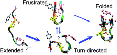 Turn-directed folding dynamics of β-hairpin-forming de novo decapeptide ...