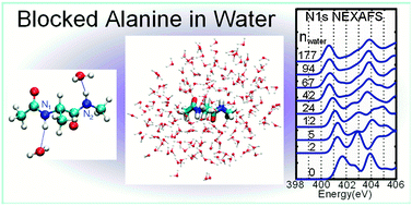 X-ray spectroscopy of blocked alanine in water solution from ...