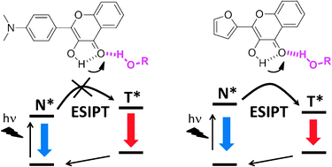 Ab initio study of the solvent H-bonding effect on ESIPT reaction and ...