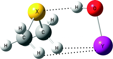 Weak interactions between hypohalous acids and dimethylchalcogens ...