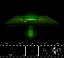 Interferometric scattering microscopy (iSCAT): new frontiers in ...