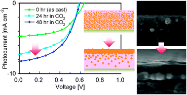 Vertical phase separation of conjugated polymer and fullerene bulk ...
