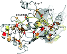 Paths of long-range communication in the E2 enzymes of family 3: a ...