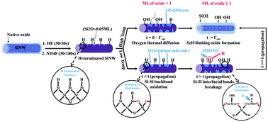Early stages of oxide growth in H-terminated silicon nanowires ...