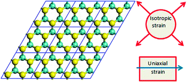 Strain-dependent electronic and magnetic properties of MoS2 monolayer ...