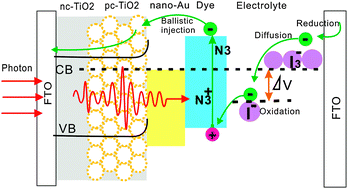 Photonic crystal coupled plasmonic nanoparticle array for resonant enhancement of light ...