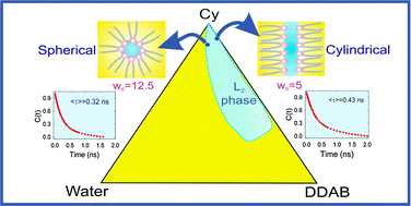 Solvent dynamics in a reverse micellar water-pool: a spectroscopic ...