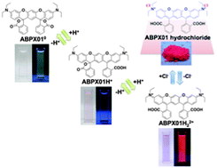 A red-emissive aminobenzopyrano-xanthene dye: elucidation of ...